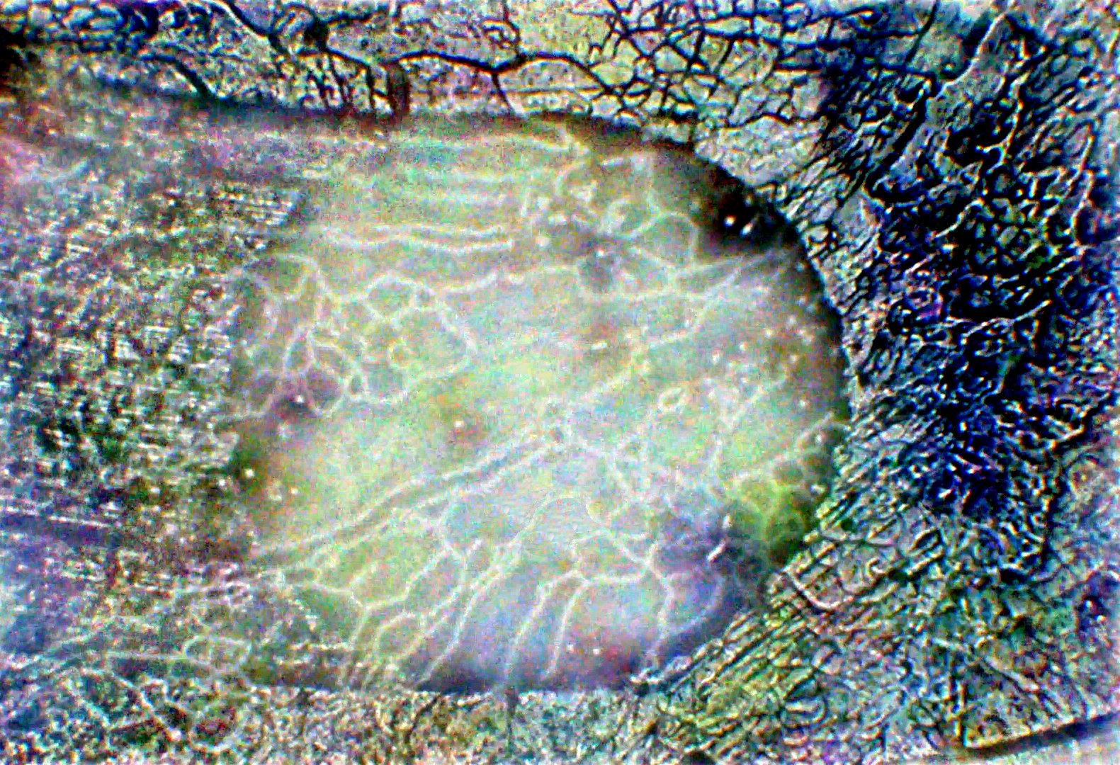 Rubber.Ice-contact-presence-of-water